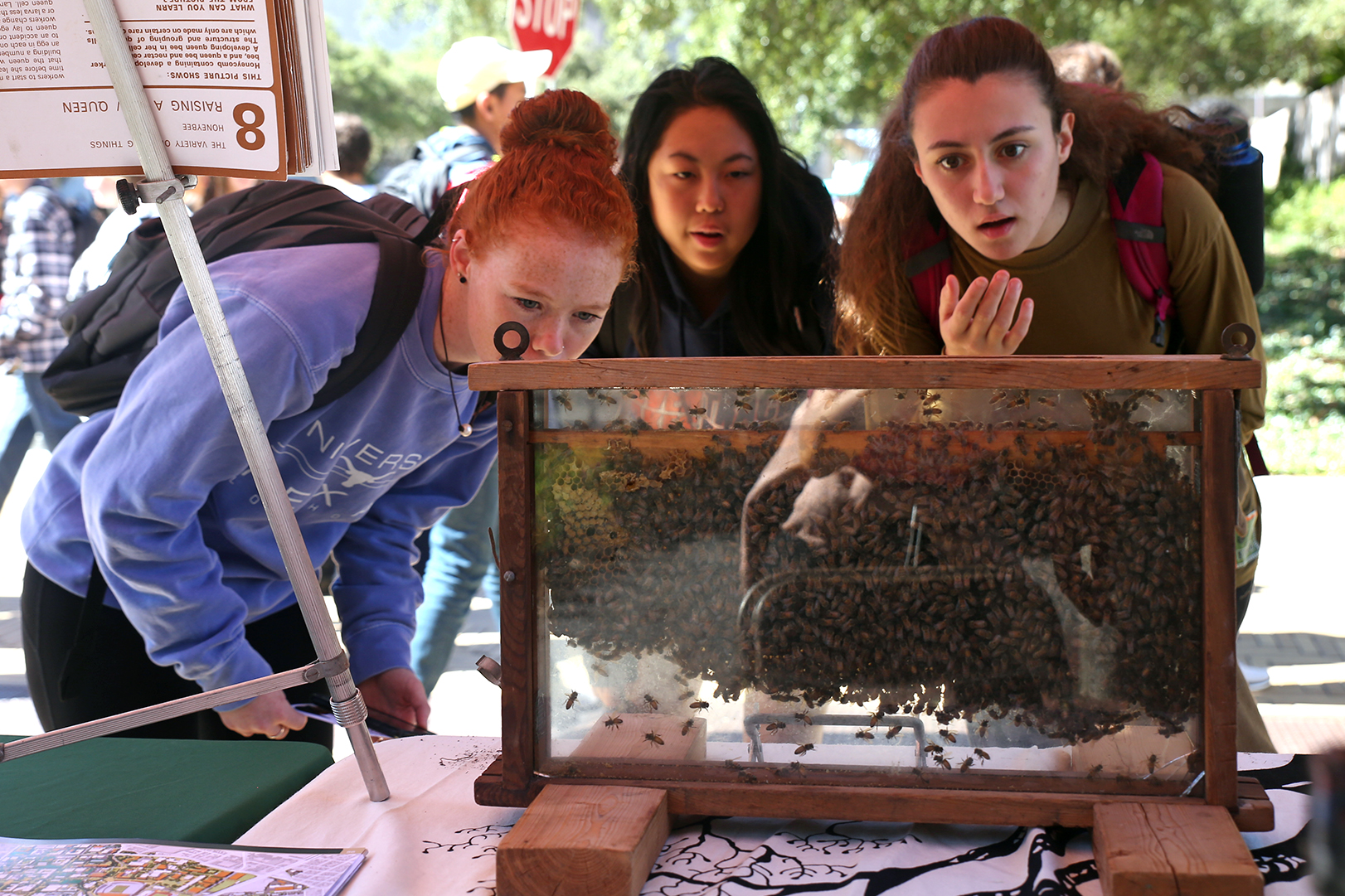Green organizations shine at Sustainability Tabling Fair – The Daily Texan